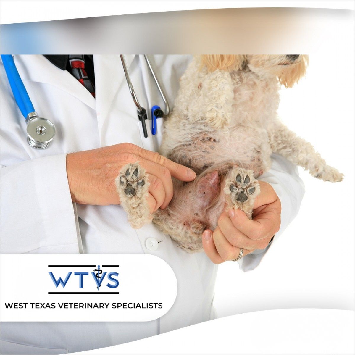 How Oncology Teleconsultation Improves Patient Outcomes | WTVS